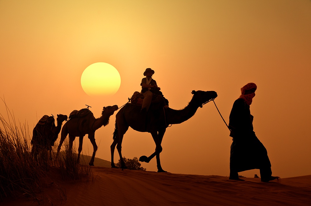 Photo gallery of Marrakech excursions and day trips | Riad Shaden